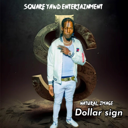 Dollar Sign