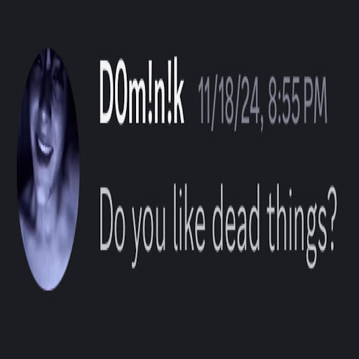 critter music - YouTube Music