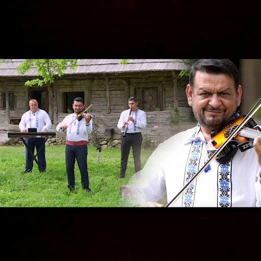 Sarba - YouTube Music