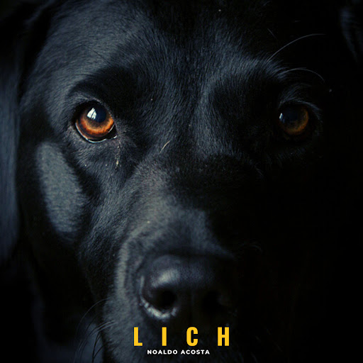 Lich - YouTube Music