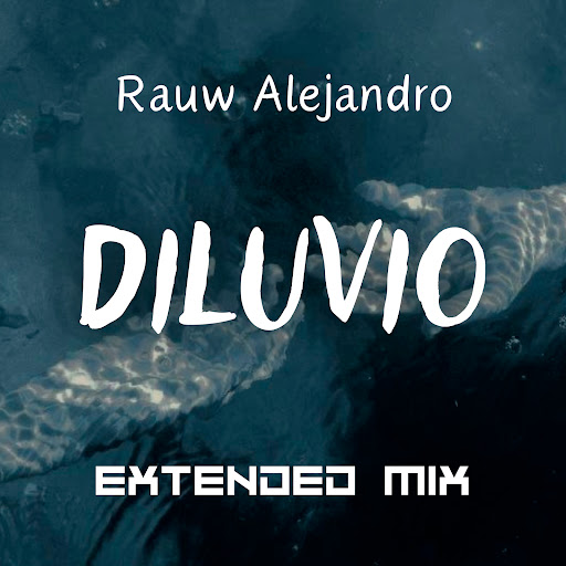 Diluvio - Rauw Alejandro Extended Mix - YouTube Music