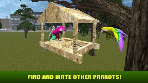 Download City Bird Parrot Simulator 3D Google Play softwares ...