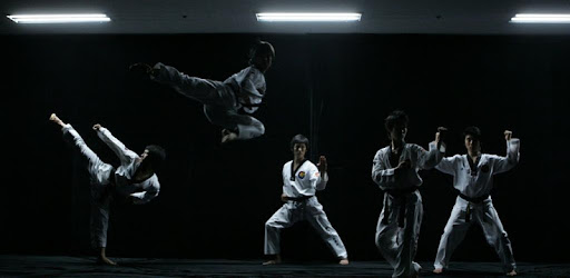 Learn Martial Arts Android App