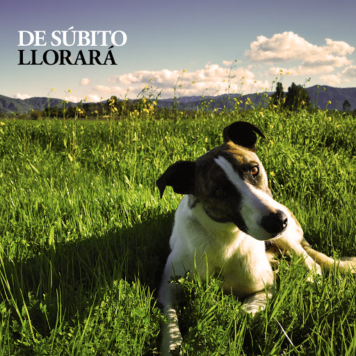 Llorará - YouTube Music