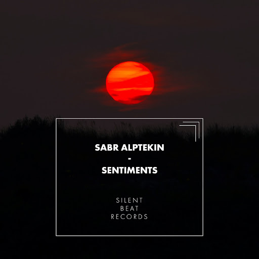 Sentiments - YouTube Music