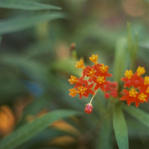 Inside (live at club skunk) - YouTube Music