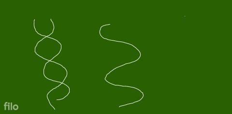 Some algae such as the sea weeds are multicellular and form large colonie..