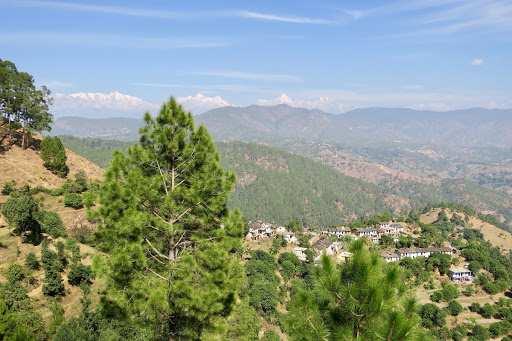 The Bora Community — Google Arts & Culture