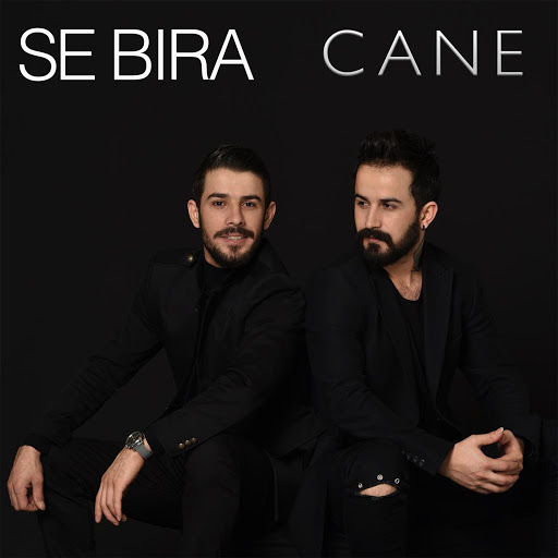 Cane - YouTube Music
