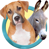 ZOOLA Animals - FREE - Android Apps on Google Play