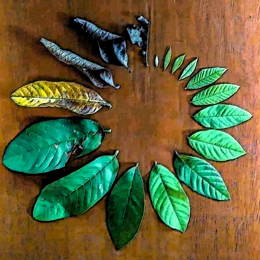 Come And Go Arrdee Howl (Dubstep Remix) - YouTube Music