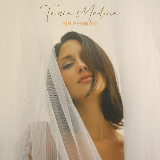 Sin Permiso - YouTube Music