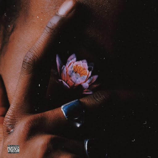 Lotus - YouTube Music