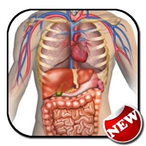 Human Anatomy - Latest version for Android App