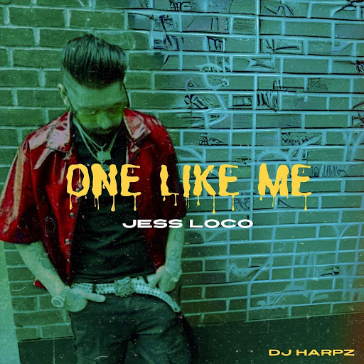 One Like Me (feat. DJ Harpz) - YouTube Music