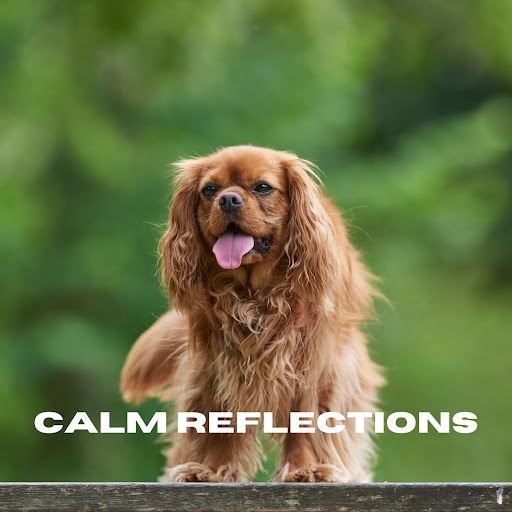 Harmonious Whisper (Loopable, No Fade) - YouTube Music