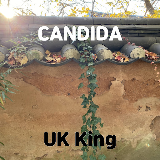 CANDIDA - YouTube Music