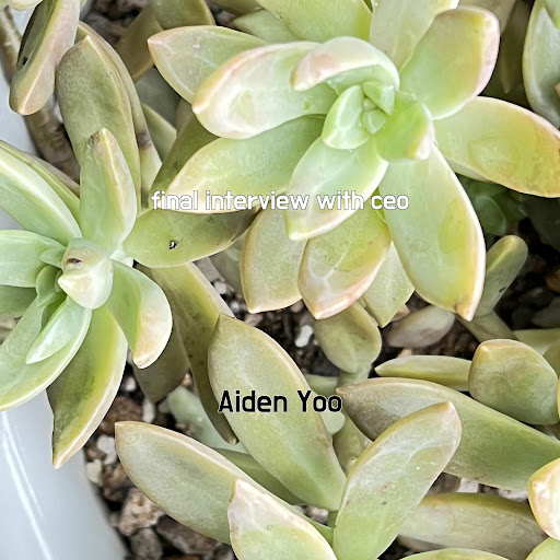 tool 46 and 2 - YouTube Music