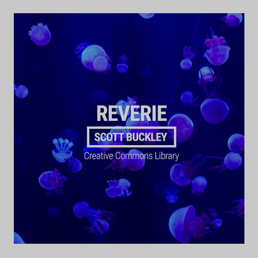 Reverie - YouTube Music