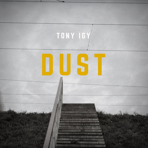 The Dust - YouTube Music
