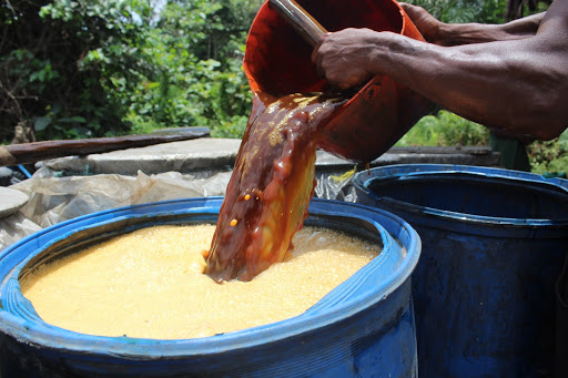 The magic of making Ogogoro from Palm Wine — Google Arts & Culture