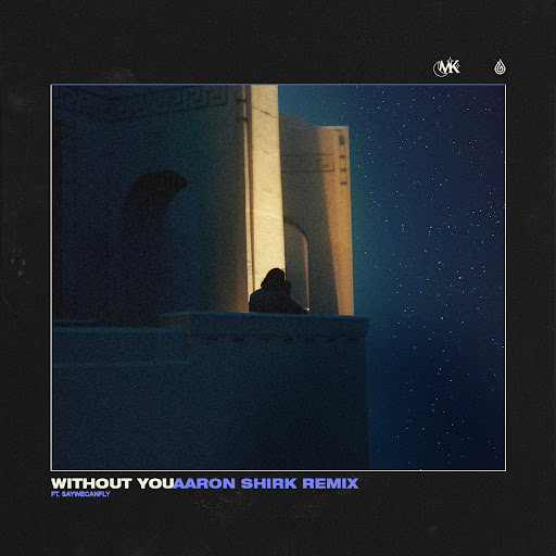 Without You (ft. SayWeCanFly) (Aaron Shirk Remix) - YouTube Music