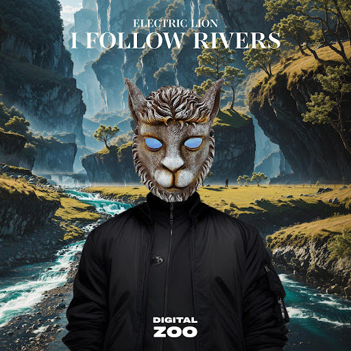 I Follow Rivers - YouTube Music