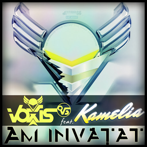 Am invatat - YouTube Music