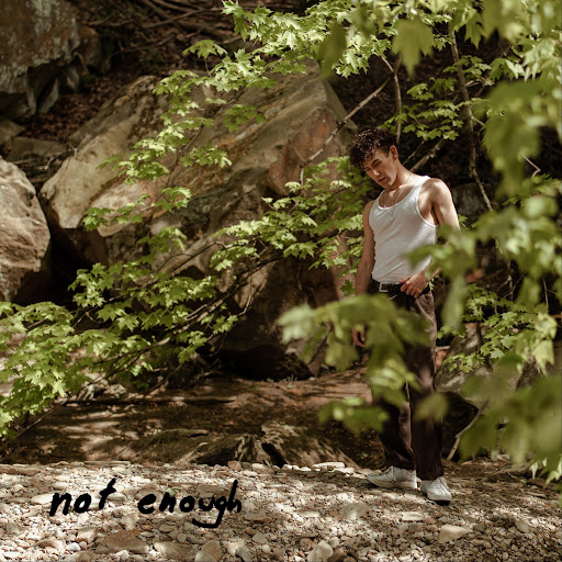 Not Enough - YouTube Music