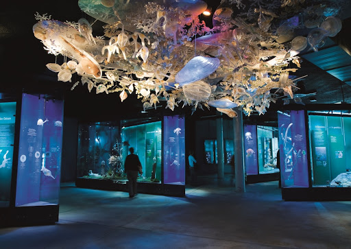 Ozeaneum, Foundation German Oceanographic Museum, Stralsund, Germany ...