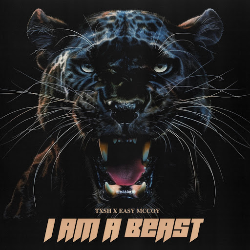 I Am a Beast - YouTube Music