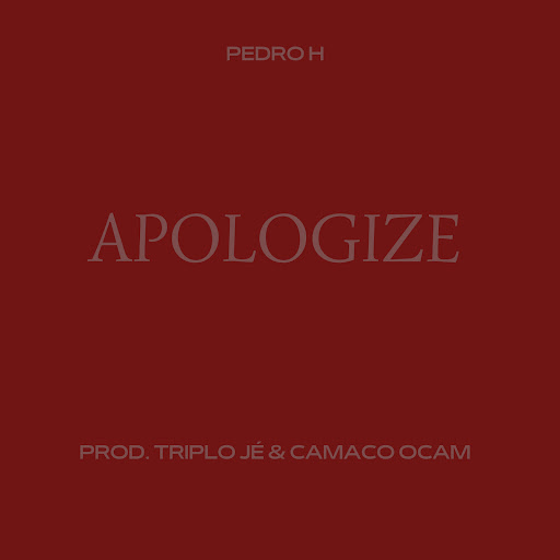 Apologize - YouTube Music