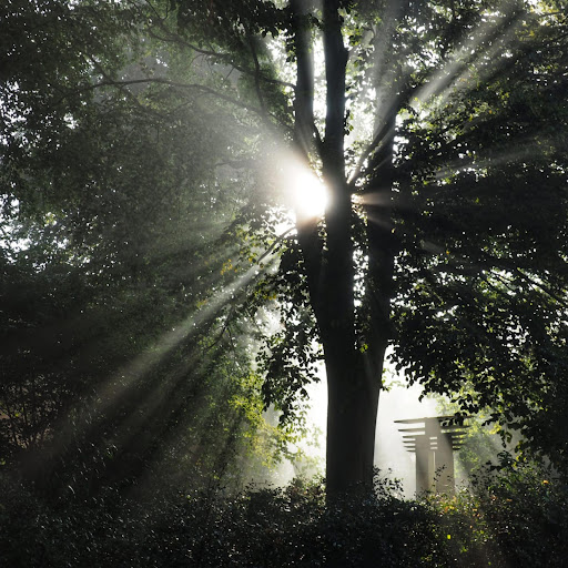 Yunluo - YouTube Music