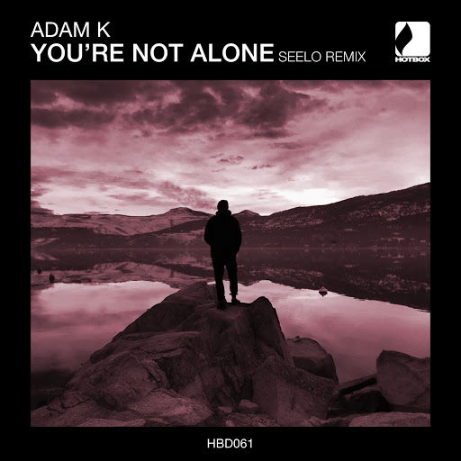 You're Not Alone (Seelo Remix) - YouTube Music
