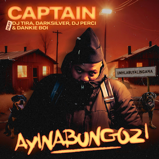 Ayinabungozi (feat. Dj Tira, DarkSilver, Dj Perci & Dankie Boi)