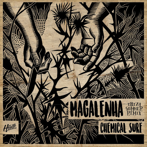Magalenha (Ibiza Summer Remix) - YouTube Music