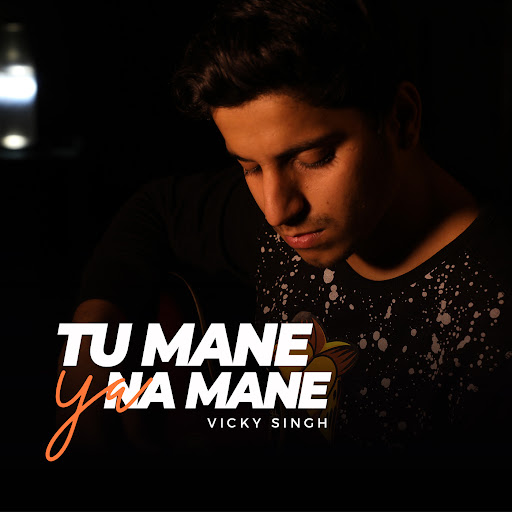 Tu Mane Ya Na Mane - YouTube Music