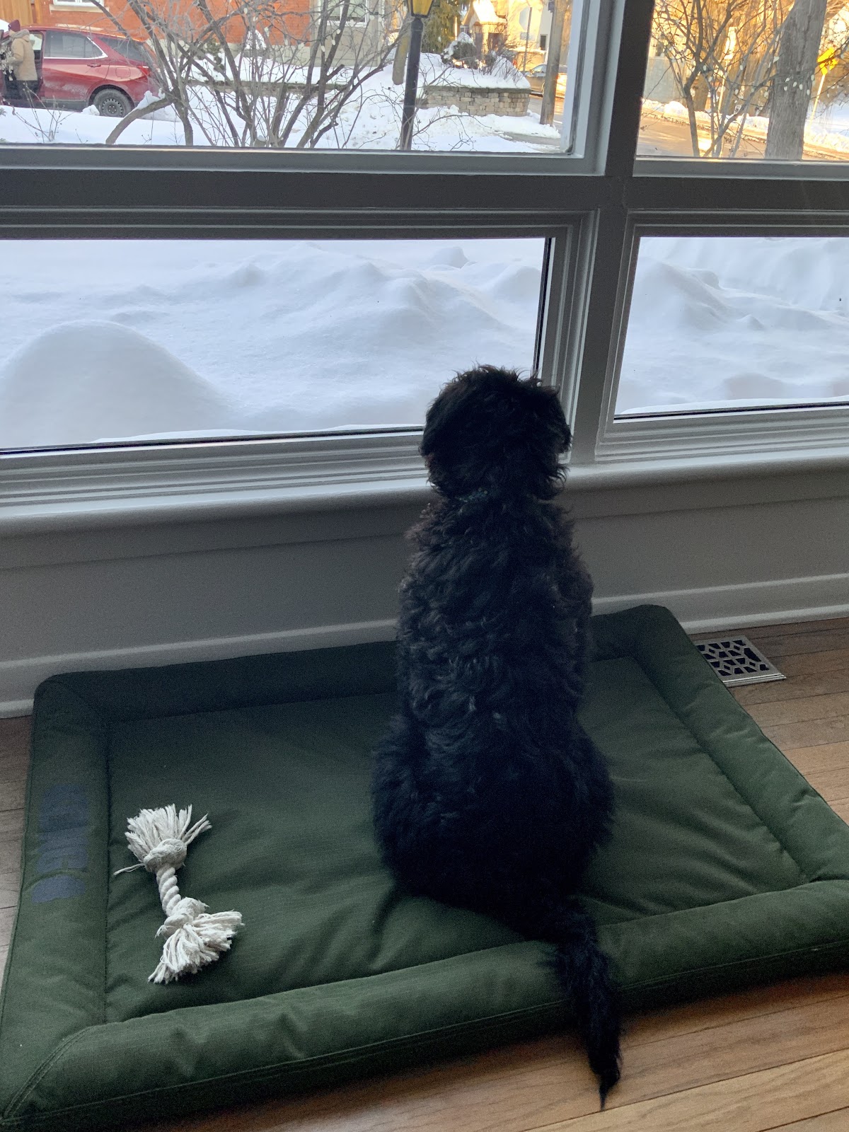 Miss Pancake Taylor's Blog: Day One Hundred and Twenty Six