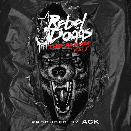 Roll Model - YouTube Music