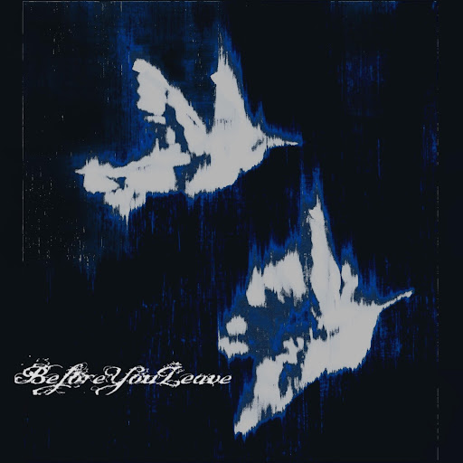 where birds turn to crows - YouTube Music