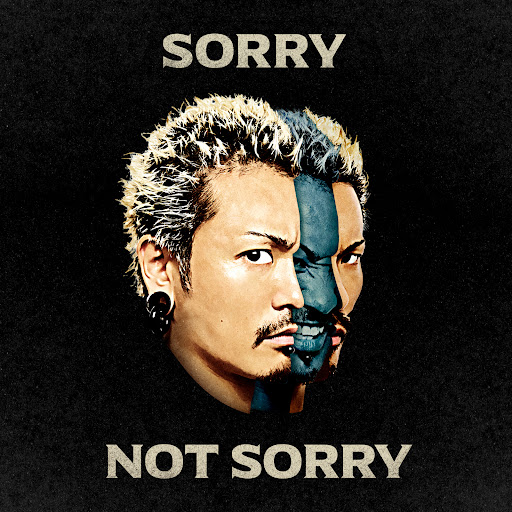 Sorry Not Sorry - YouTube Music