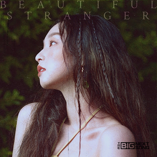 Beautiful Stranger - YouTube Music