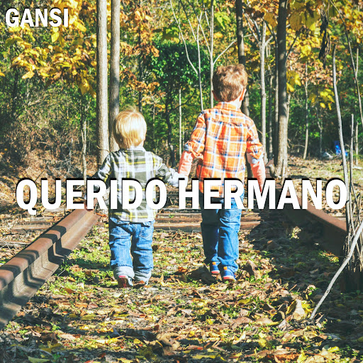 QUERIDO HERMANO - YouTube Music