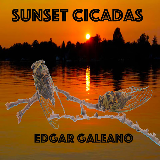Cicada Duet - YouTube Music