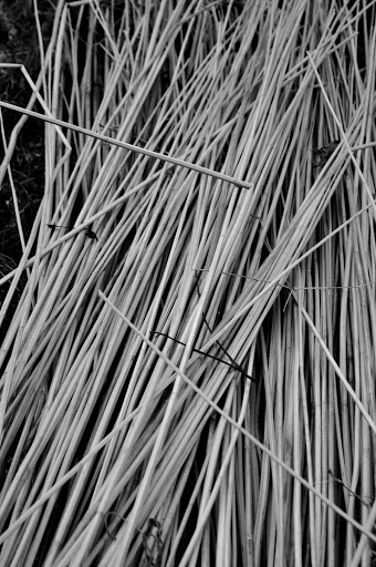 The Bora Community — Google Arts & Culture