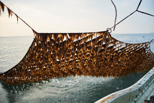 Japanese Soul Food: The Unknown World of Seaweed — Google Arts & Culture