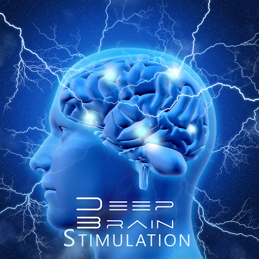 Brain Development - YouTube Music