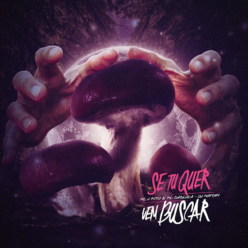 Se Tu Quer, Vem Buscar - YouTube Music