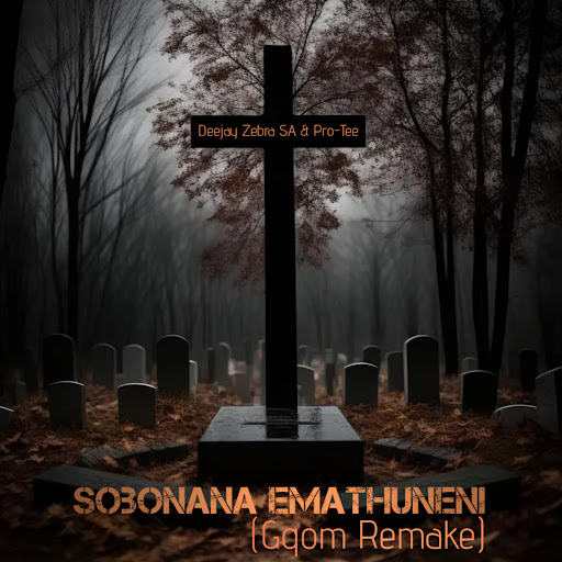 Sobonana Emathuneni (Gqom Remix) - YouTube Music