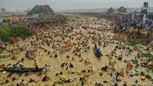 Argungu Festival: Africa's Biggest Fishing Celebration — Google Arts ...